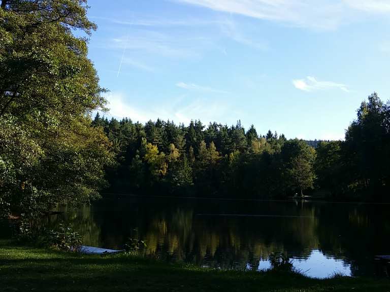 Waldsee Argenthal - kleiner Rundweg Routes for Walking and Hiking | Komoot