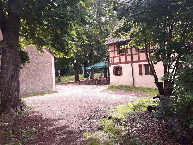 Berggaststätte Moritzberg: Wanderungen und Rundwege | komoot