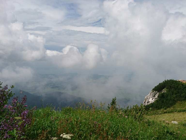 Hochfelln: Wanderungen und Rundwege | komoot