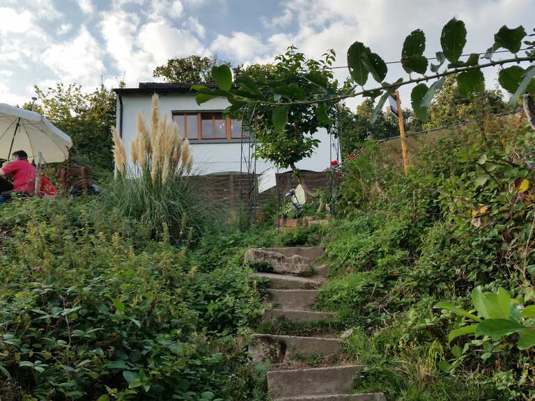 Zeter Berghaus - Mit tollem Ausblick Routes for Walking and Hiking | Komoot