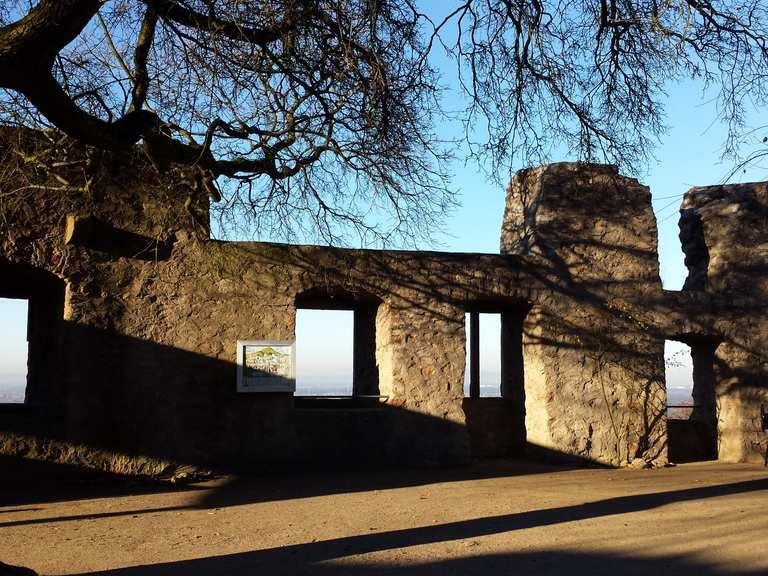 Alsbacher Schloss mit Schlossturm Routes for Walking and Hiking | Komoot