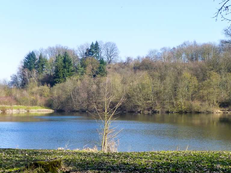 Katzenbachsee: Wanderungen und Rundwege | komoot
