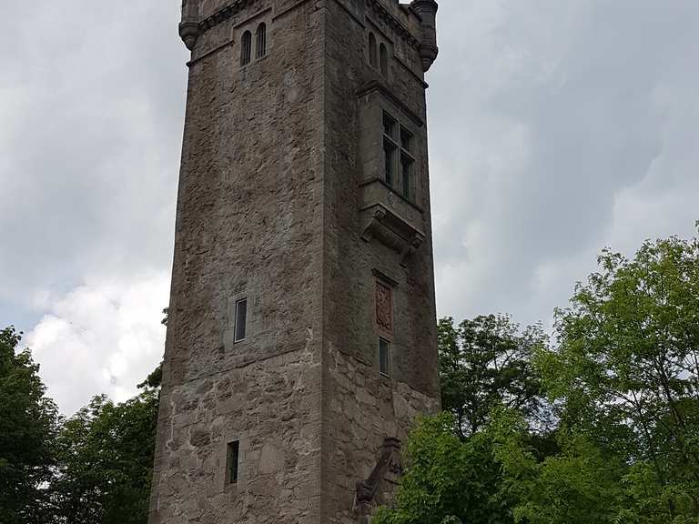 Domberg mit Bismarckturm: Wanderungen und Rundwege | komoot