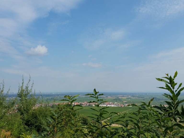 Zeter Berghaus - Mit tollem Ausblick: Wanderungen und Rundwege | komoot