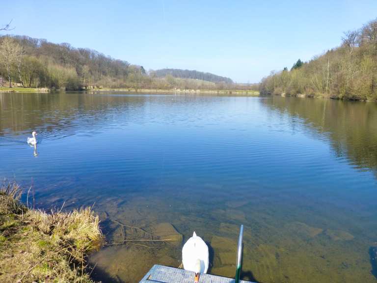 Katzenbachsee: Wanderungen und Rundwege | komoot