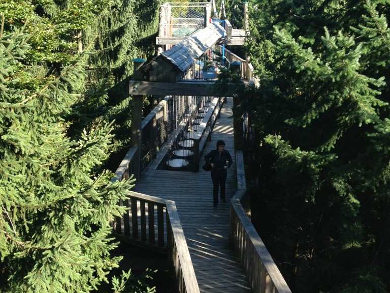 Kopfing treetop path Routes for Walking and Hiking | Komoot