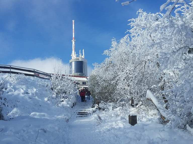 Großer Inselsberg: Wanderungen und Rundwege | komoot