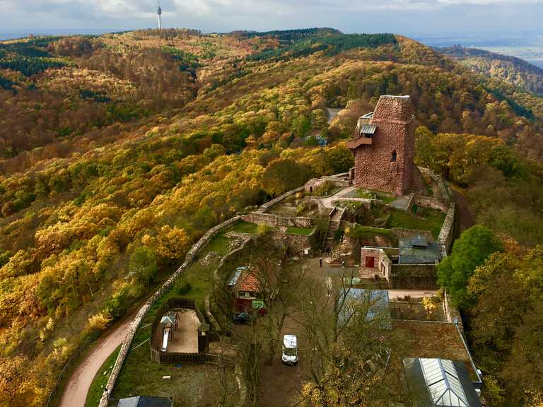 Reichsburg Kyffhausen mit dem Kyffhäuserdenkmal Routes for Walking and ...