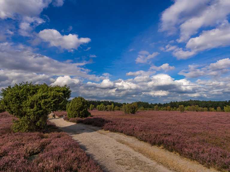 Heiliger Hain - Routes for Walking and Hiking | Komoot