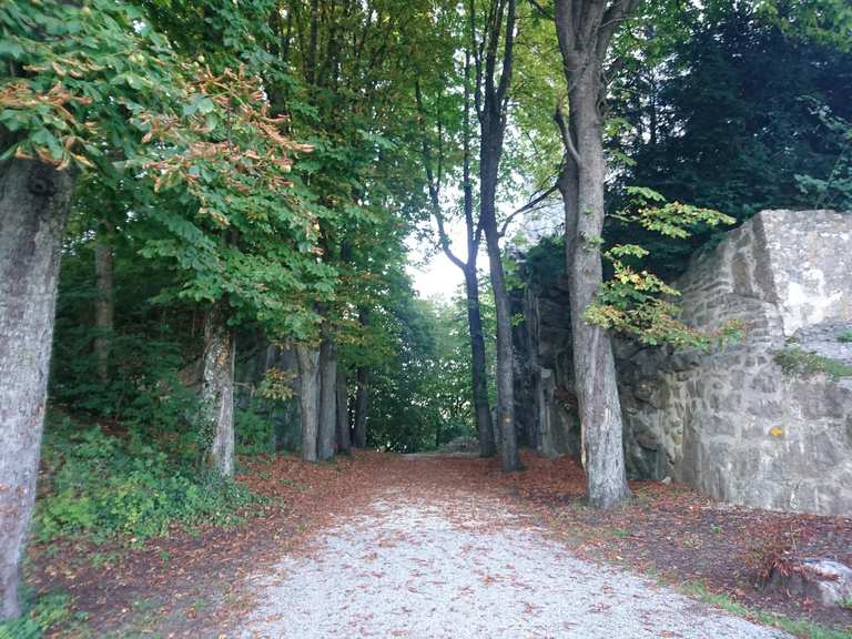 Schloss Brunegg: Mountainbike-Touren und -Trails | komoot