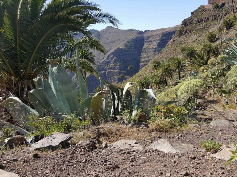 Yorima Pfad: Mountainbike-Touren | komoot