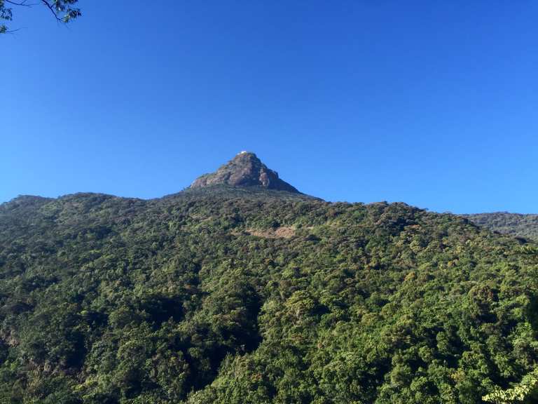 Adam's Peak Routes for Walking and Hiking | Komoot