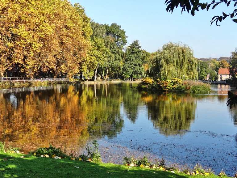 Stadtgarten Castrop-Rauxel Routes for Walking and Hiking | Komoot