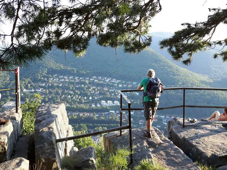 Aussichtspunkt Bergstein: Wanderungen und Rundwege | komoot