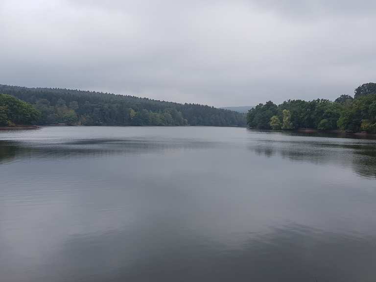 Steinbachtalsperre: Wanderungen und Rundwege | komoot