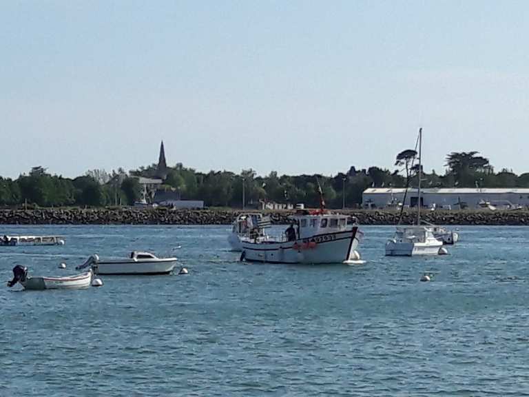 Ferry Île-Tudy – Loctudy: Rutas de cicloturismo | Komoot