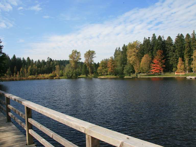 Waldsee bei Lindenberg - Lindenberg im Allgäu, Lindau (Bodensee ...