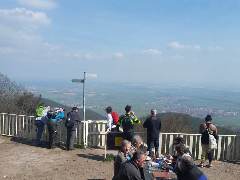 Kalmithaus and View of the Rhine Valley: Wanderungen und Rundwege | komoot