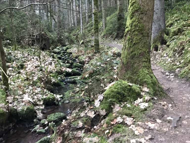 Im Rötelbachtal - Hirsau, Calw | Hiking Tips & Photos | Komoot