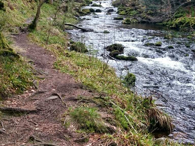 Eyach Wasserwegle: Wanderungen und Rundwege | komoot