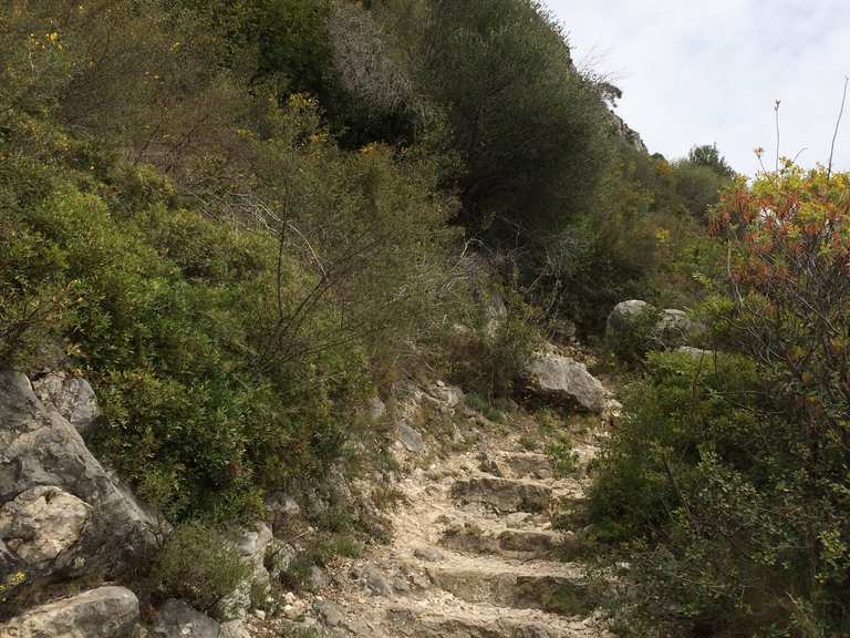 Sentier Nietzsche - Routes for Walking and Hiking | Komoot