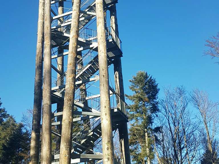 Urenkopfturm – Heidburg Pass Runde von Haslach | Mountainbike-Tour | Komoot