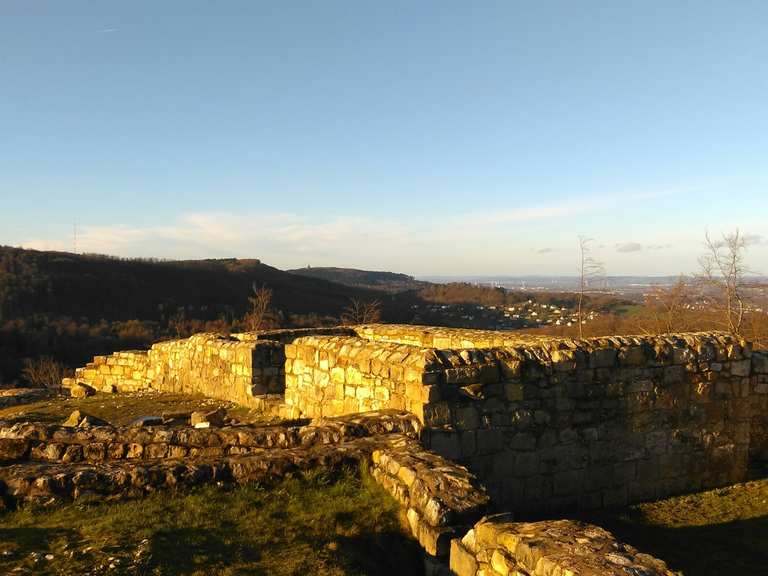 Falkenburg: Wanderungen und Rundwege | komoot