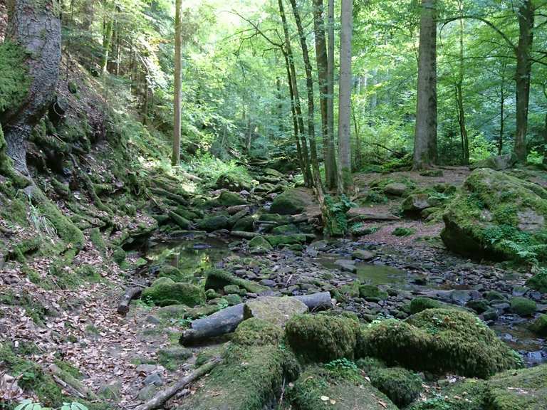 Monbachtal Routes for Walking and Hiking | Komoot