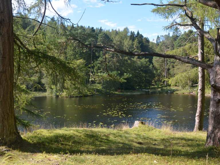 Tarn Hows, Tom Gill & Tom Heights loop — Lake District National Park ...