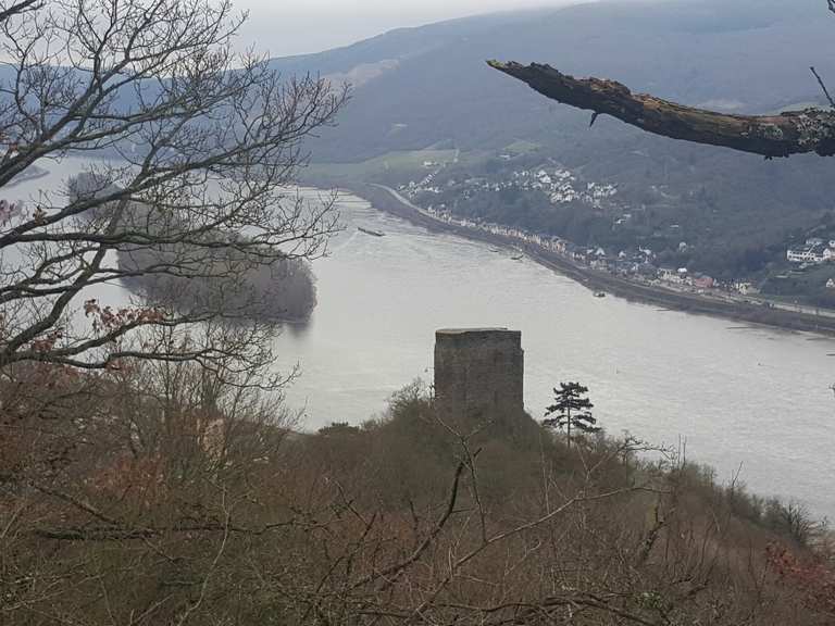 Ruine Nollig Routes for Walking and Hiking | Komoot