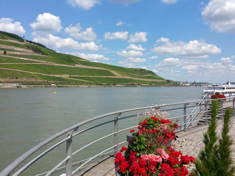 Rhein-Nahe-Eck in Bingen : Radtouren und Radwege | komoot