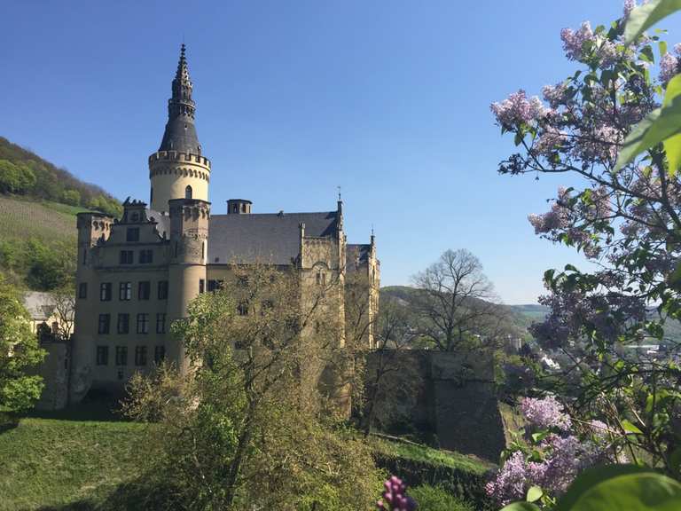 Schloss Arenfels Routes for Walking and Hiking | Komoot