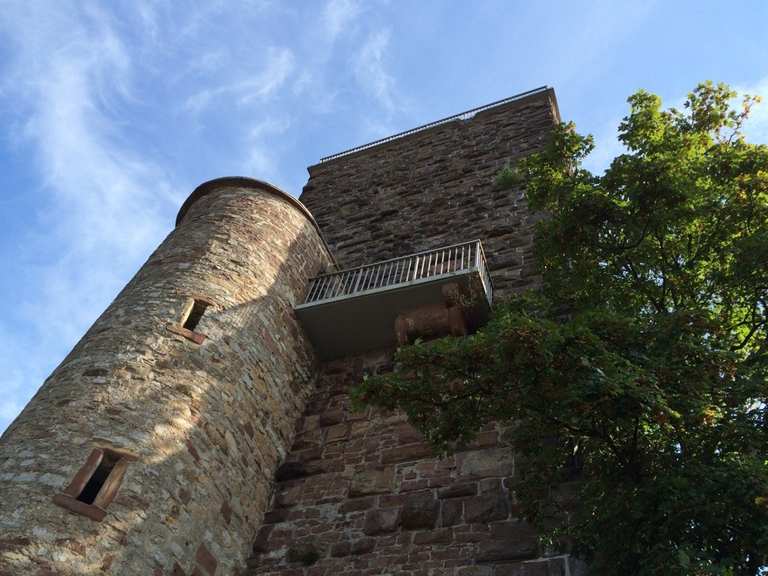 Turmberg KA-Durlach Routes for Walking and Hiking | Komoot