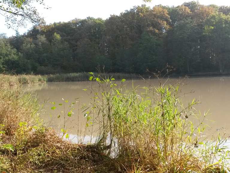 Annasee: Wanderungen und Rundwege | komoot