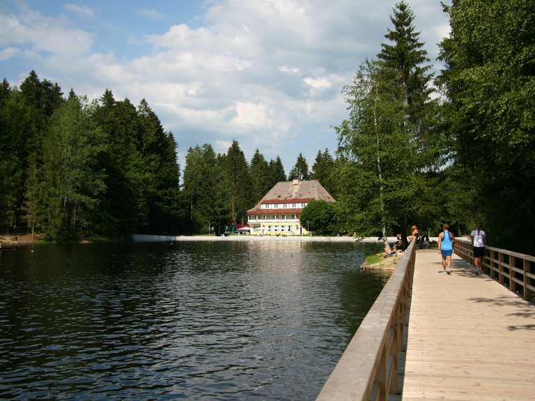 Waldsee bei Lindenberg - Lindenberg im Allgäu, Lindau (Bodensee ...