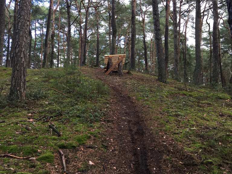 Heidenberg: Mountainbike-Touren und -Trails | komoot