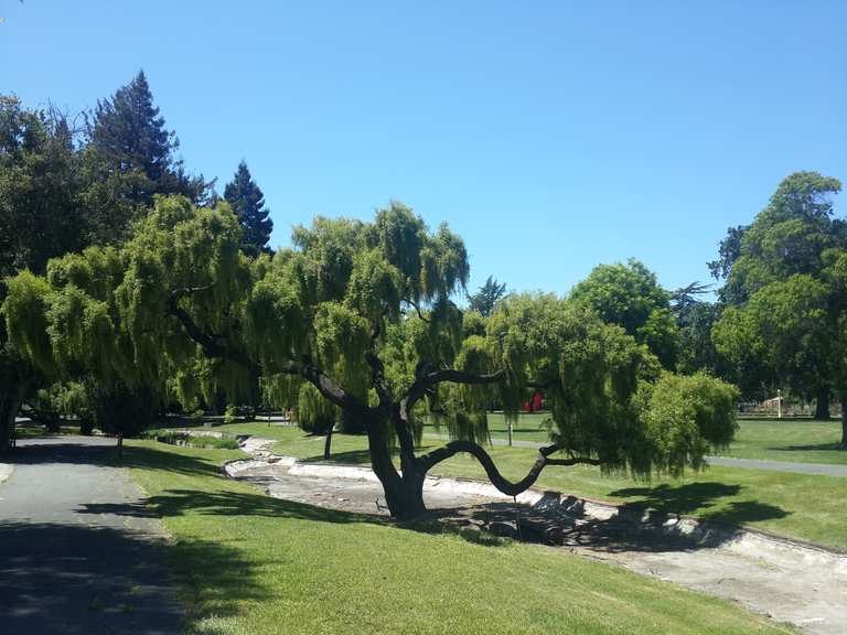 Juilliard Park, Santa Rosa: Wanderungen und Rundwege | komoot