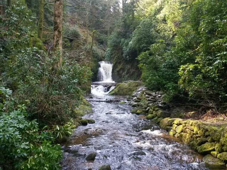 Geroldsauer Wasserfall - Itinéraires de rando et marche | Komoot