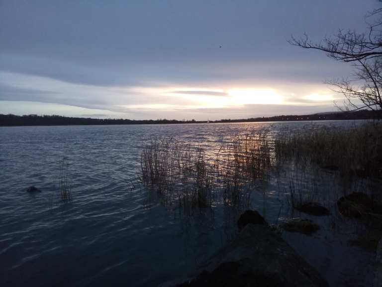 Semple Trail | hike | Komoot