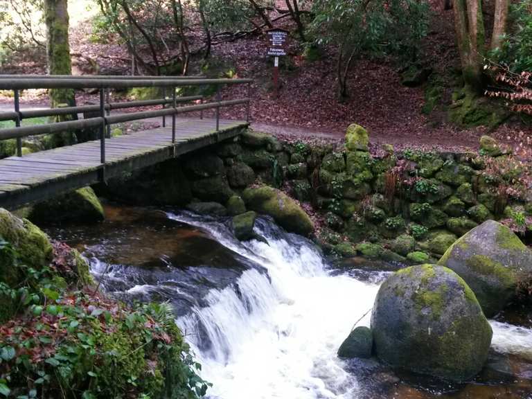 Geroldsauer Wasserfall Routes for Walking and Hiking | Komoot