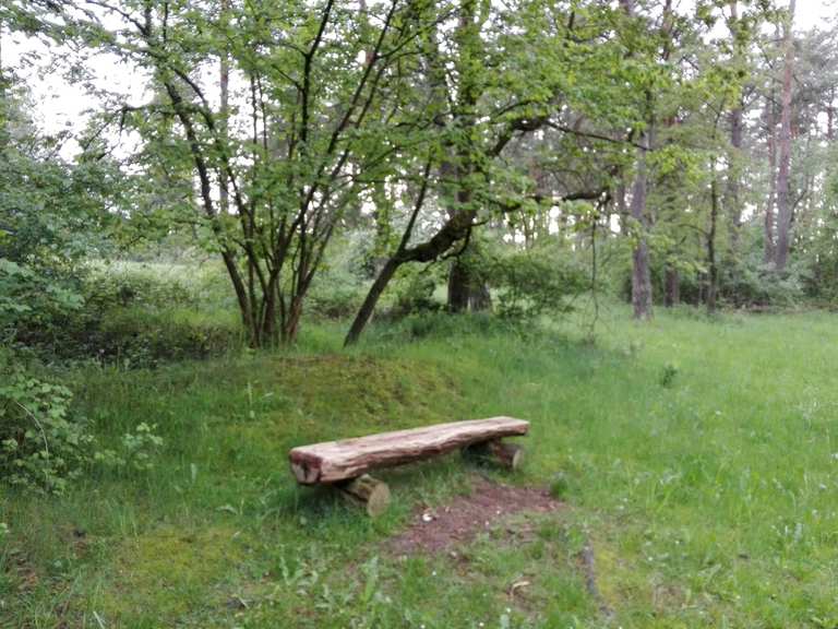 Venusberg: Wanderungen und Rundwege | komoot