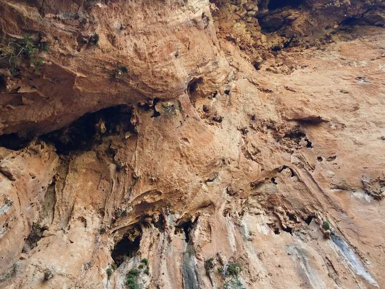 Grotta dell' Uzzo Routes for Walking and Hiking | Komoot