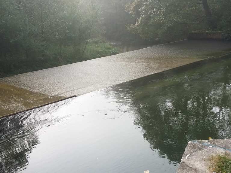 Streichwehr Schwarze Hütte: Mountainbike-Touren und -Trails | komoot