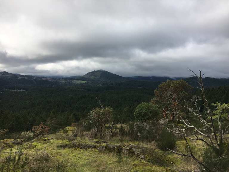Stewart Mountain & Scafe Hill Trail loop — Thetis Lake Regional Park ...
