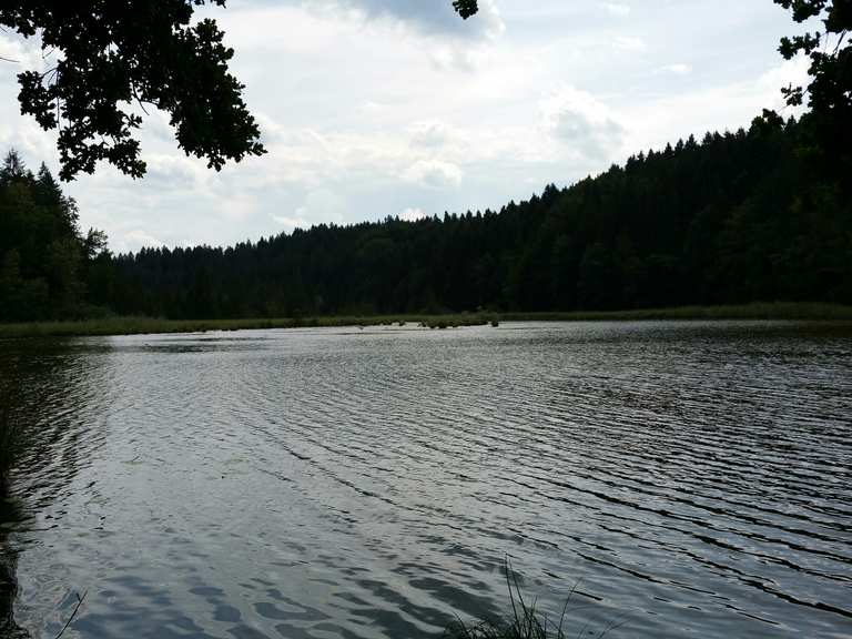 Thanninger Weiher: Wanderungen und Rundwege | komoot