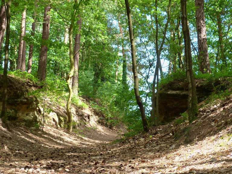 Heidenberg: Mountainbike-Touren und -Trails | komoot