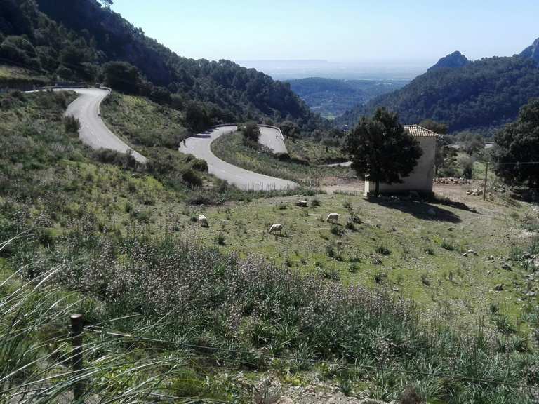 Coll de Sóller - Road Cycle Routes and Map | Komoot