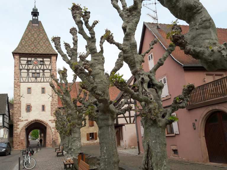 EuroVelo 5 - Via Romea - Day 5 - From Châtenois to Cernay | ride | Komoot