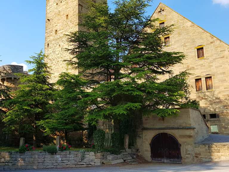 Schloss Neipperg - Mountain Bike Trails & Tracks | Komoot