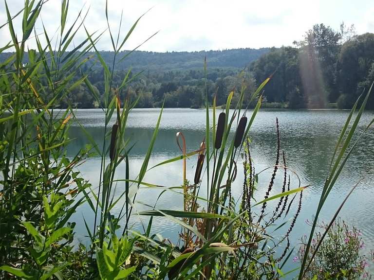 Katzenbachsee wandelroutes en hikes | Komoot